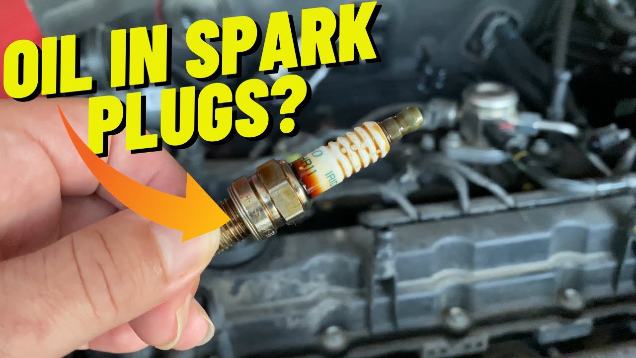 Why is There Oil on My Spark Plugs: Causes and Solutions